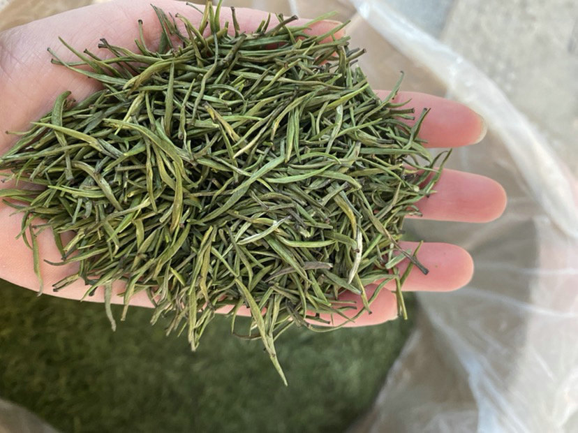 Cloud Mist One Bud Green Tea ( Green Sword Tea ) – Hangzhou Zhiqinghe ...